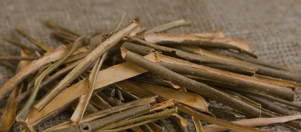 Unlocking the White Willow Bark Benefits